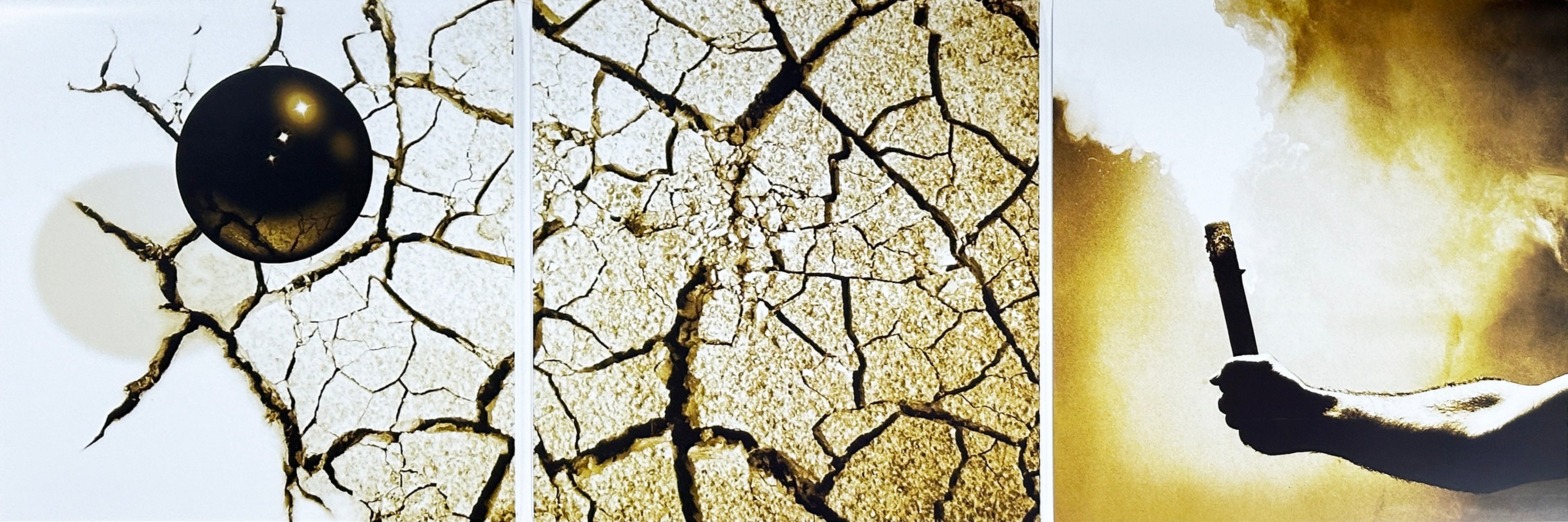 Cog Limited Double Pack (The New Normal & Sharing Space) – Rare Records