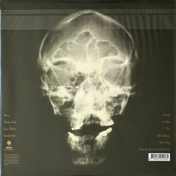 The Mind Is A Terrible Thing To Taste - Rare Records Au