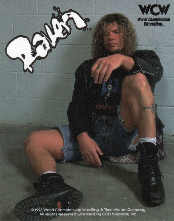 WCW Raven Sticker - Rare Records Au