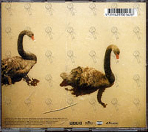 Crooked Fingers - Rare Records Au
