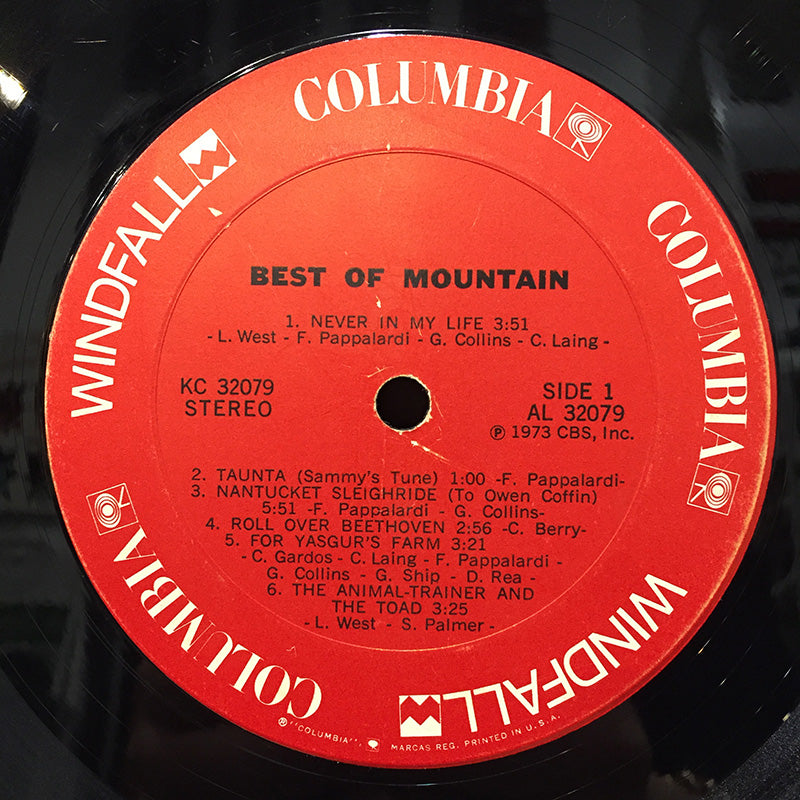 The Best Of Mountain - Rare Records Au