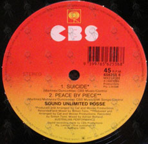 Peace By Piece - Rare Records Au